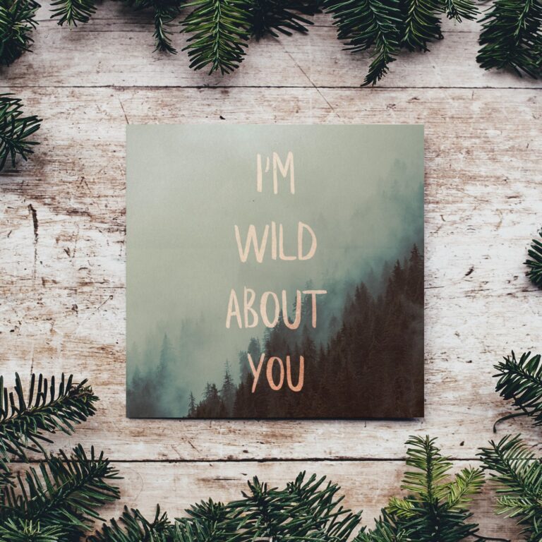 I'm Wild About You Adventure Card - Pine & Embers